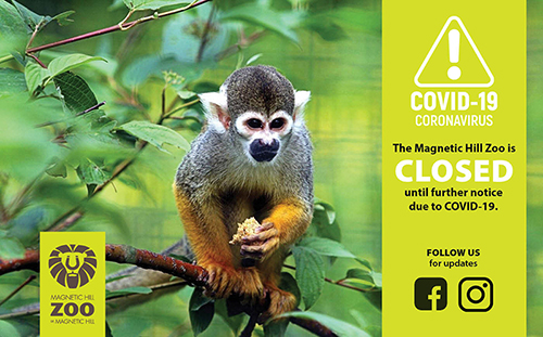 Magnetic Hill Zoo | City of Moncton